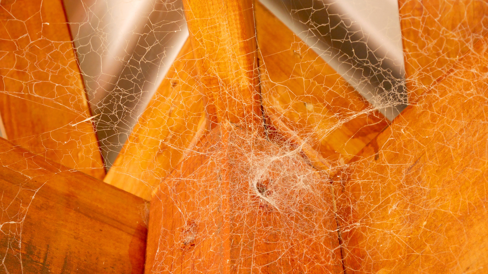 This Sock Hack Makes It So Easy To Get Rid Of Cobwebs Around The House