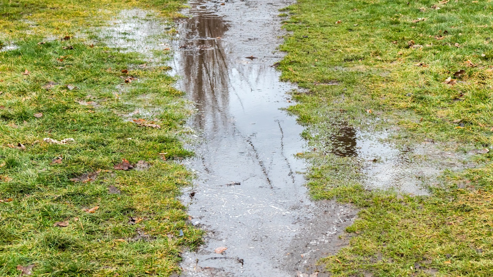 TikTok Is Obsessed With This Easy Solution To Muddy Areas In The Yard