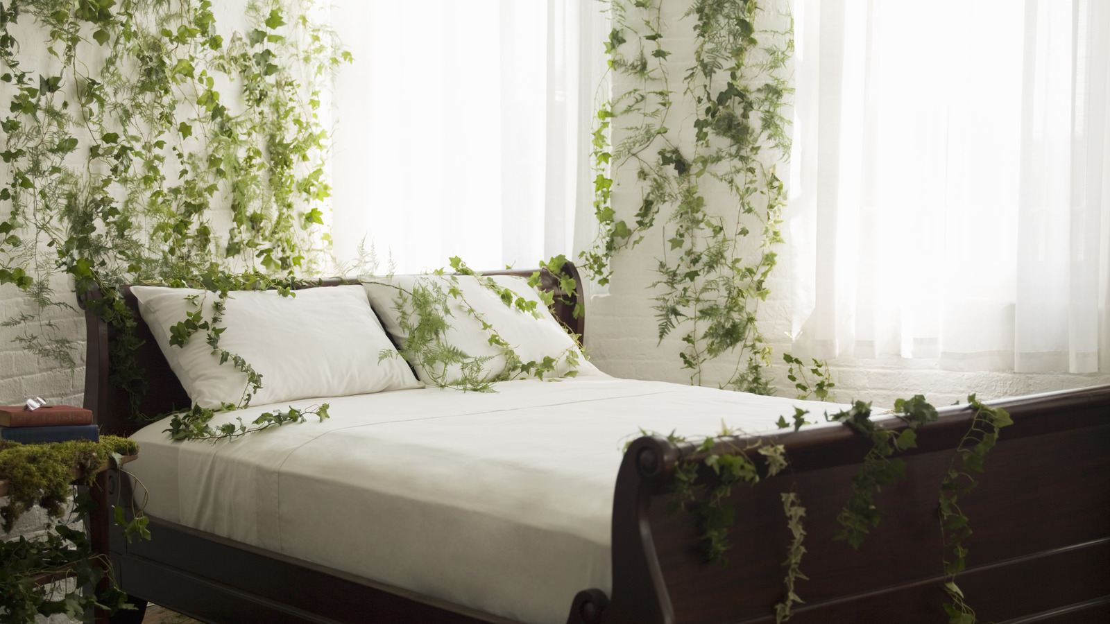 Tiktok Shows Us The The Secret To Making Your Artificial Ivy Look Real