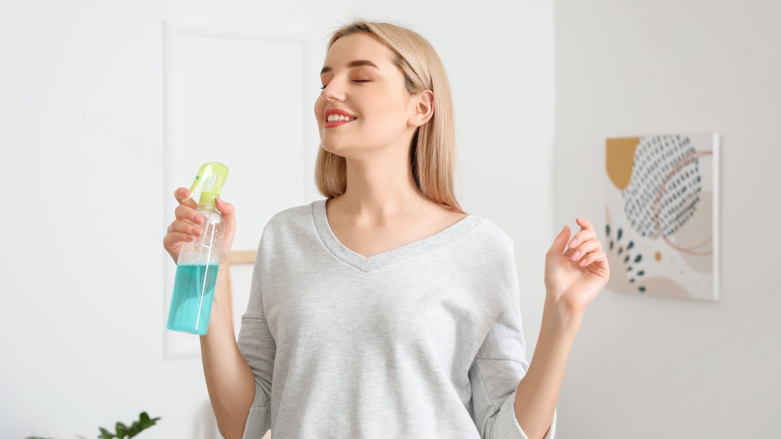 TikTok's DIY Air Freshener Spray Will Keep Your Home Smelling Fresh For ...