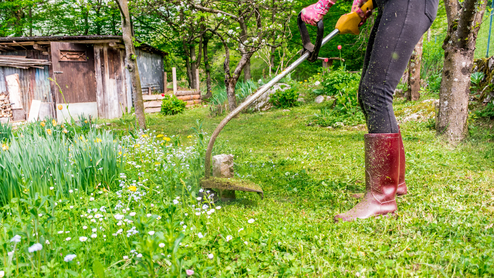 TikTok's Simple Weed Whacking Tip Makes Yard Cleanup A Breeze