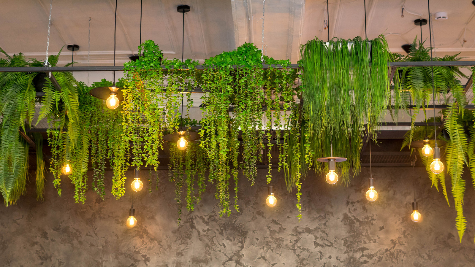 TikTok's Stunning DIY Wood Lamp That Also Adds A Touch Of Greenery To ...