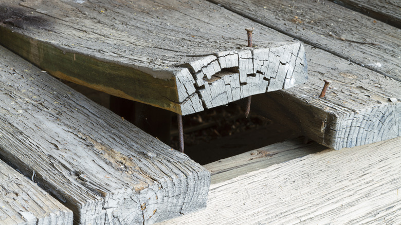 Tips On How To Identify, Fix, And Prevent Wood Rot Tips On How To Identify, Fix, And Prevent Wood Rot