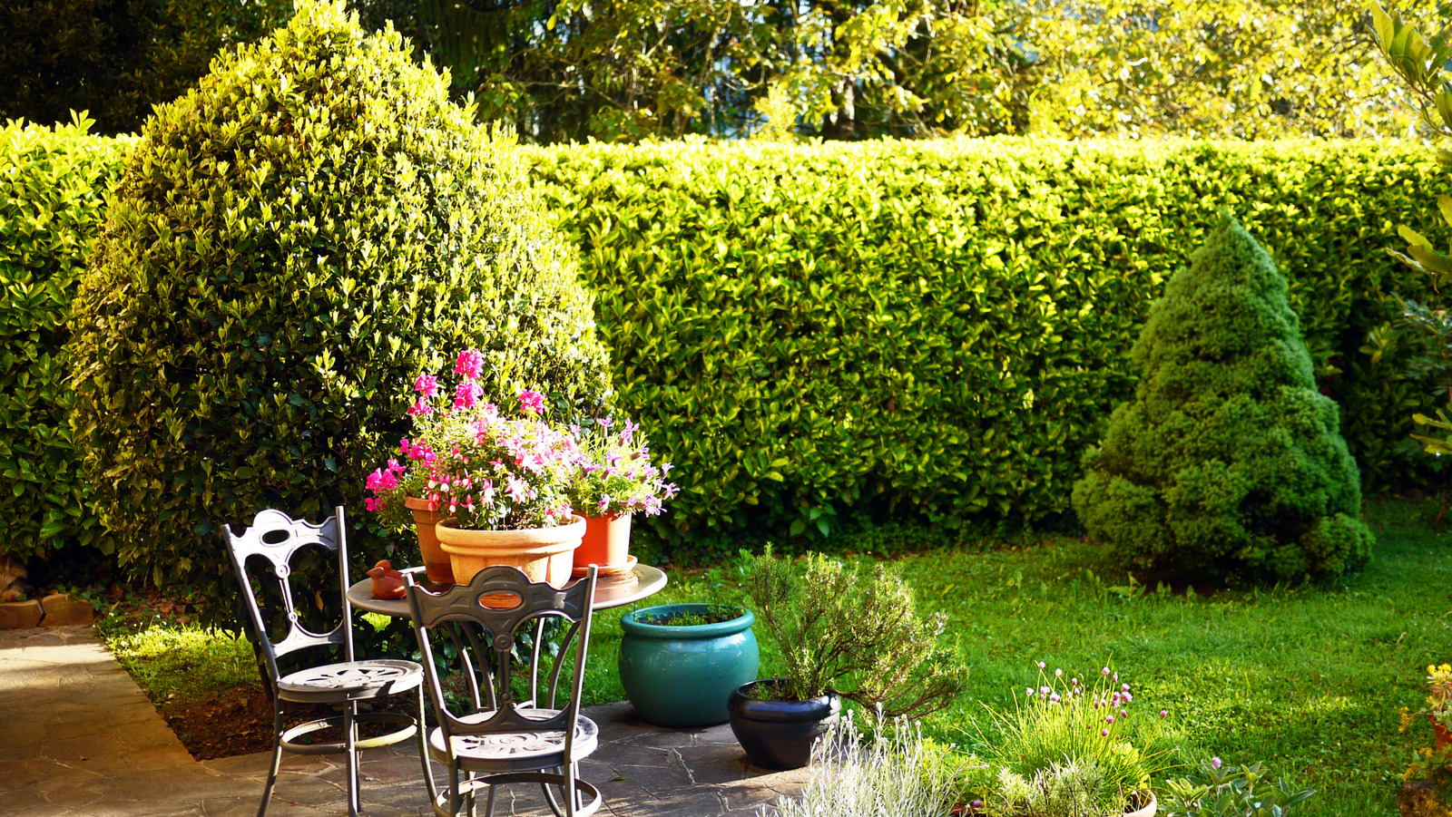 Why Privacy Trees Can Be Better Than Fences