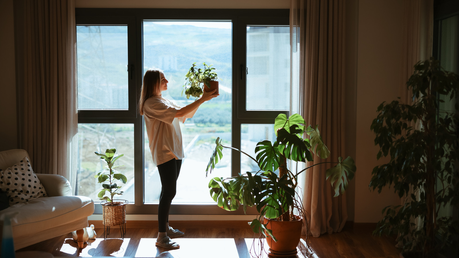 Transform A Sunny Window Into A Plant Shelf Without Any Tools