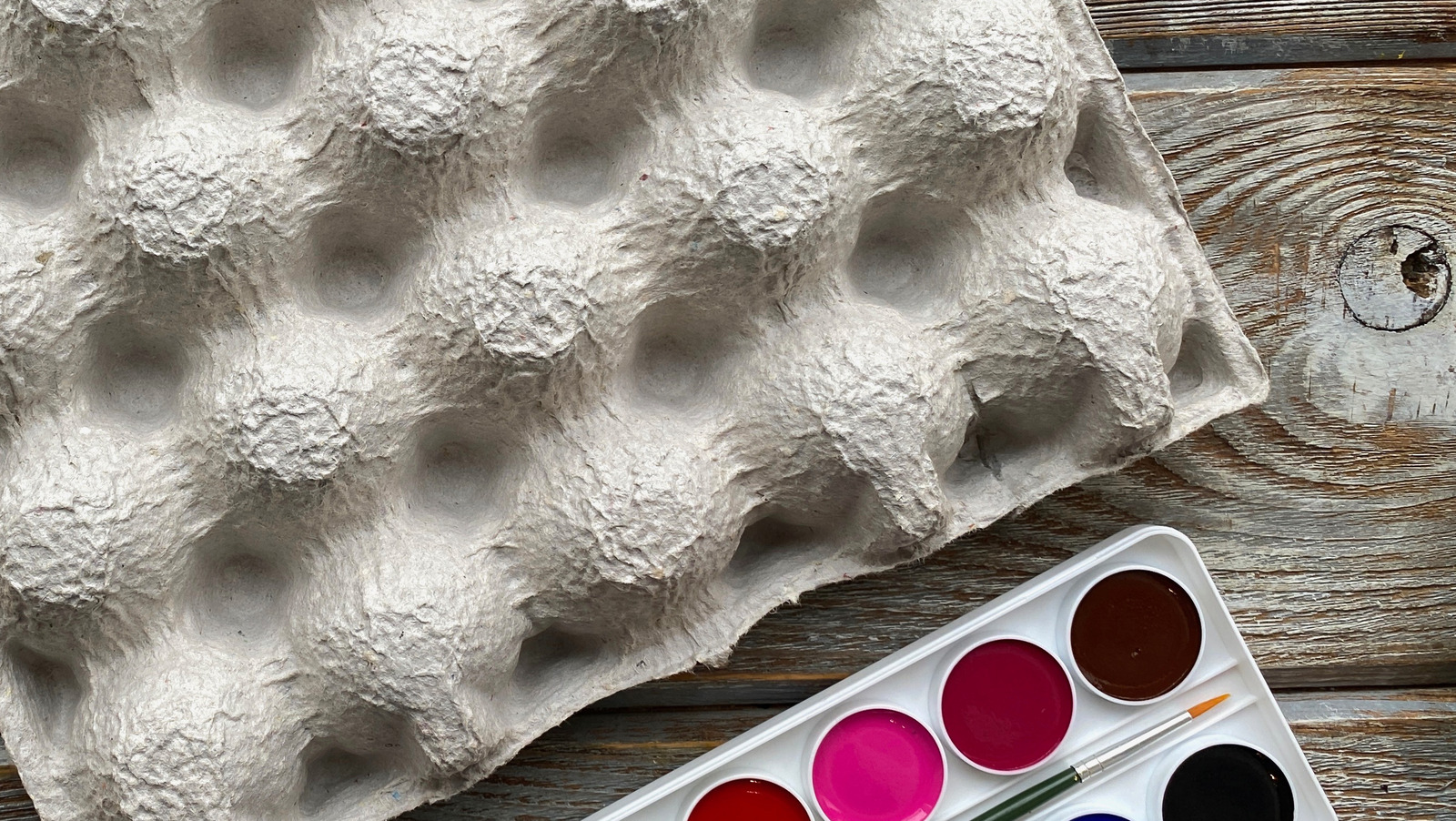 Transform An Old Egg Carton Into Beautiful Lawn Decor With An Easy DIY