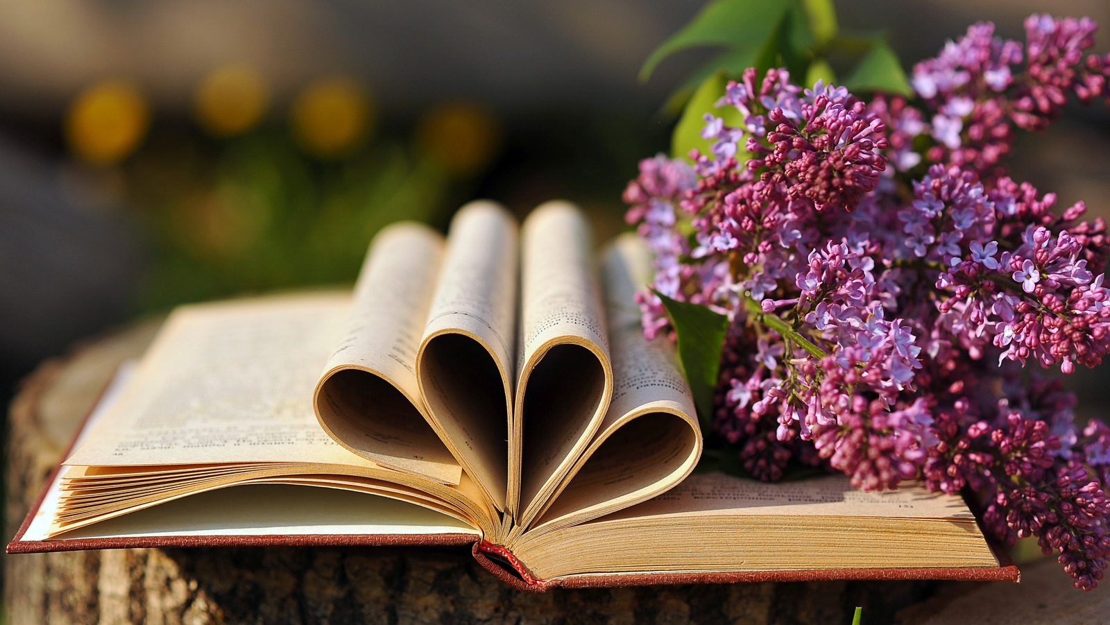 Transform Dollar Tree Books Into Stunning Floral Home Decor