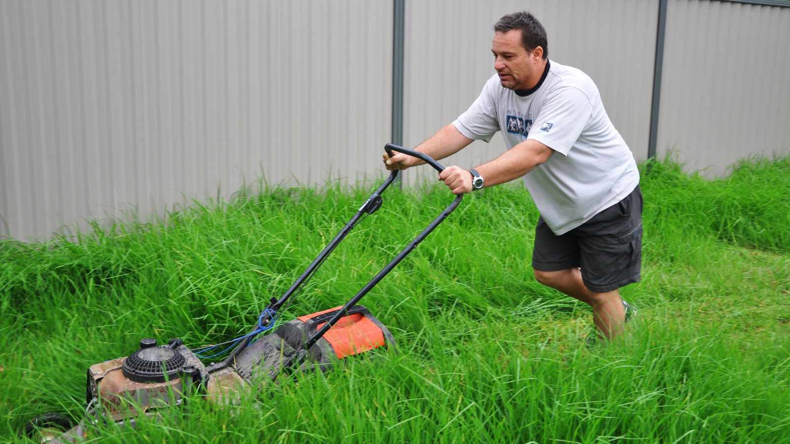 Explore If This Genius Bungee Cord Hack Is What You Need To Mow Long Grass