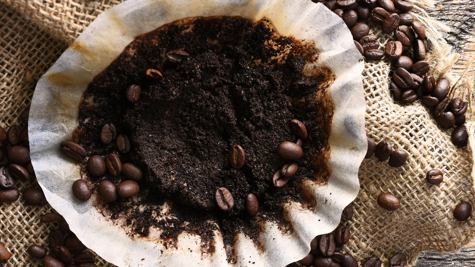 Turn Ordinary Coffee Filters Into Stunning Spring Decor With An Easy ...