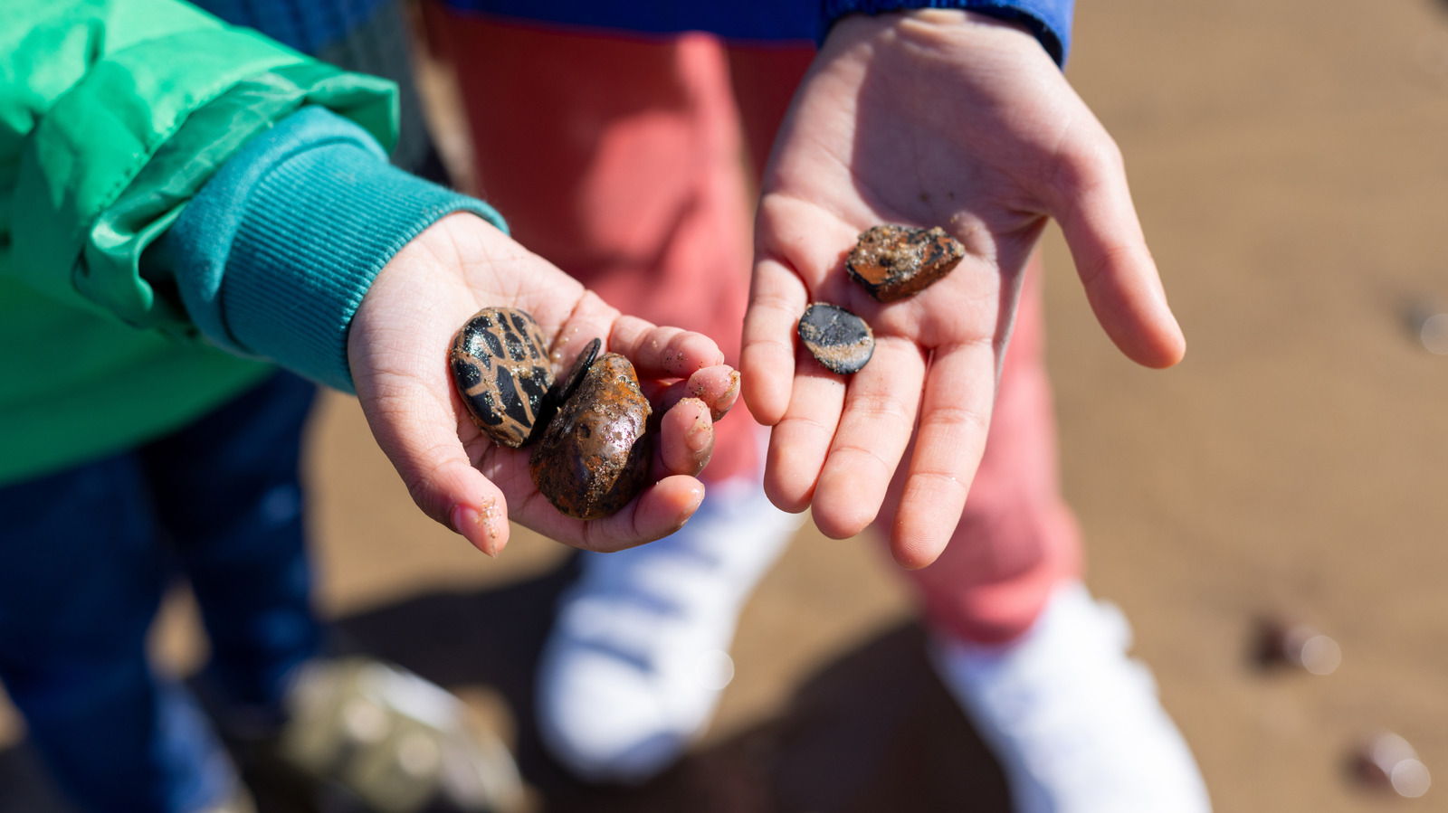 Upcycle Rocks Into DIY Sticky Traps For Fungus Gnats