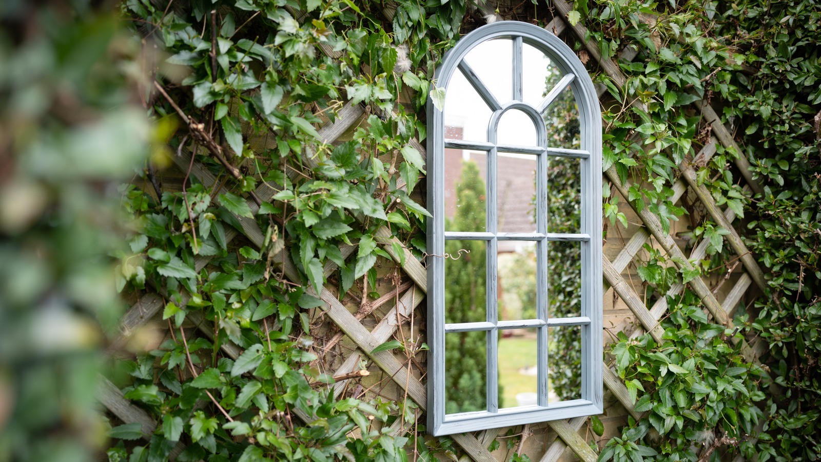Use A Trellis To DIY A Stunning Greenery Display On Your Fence