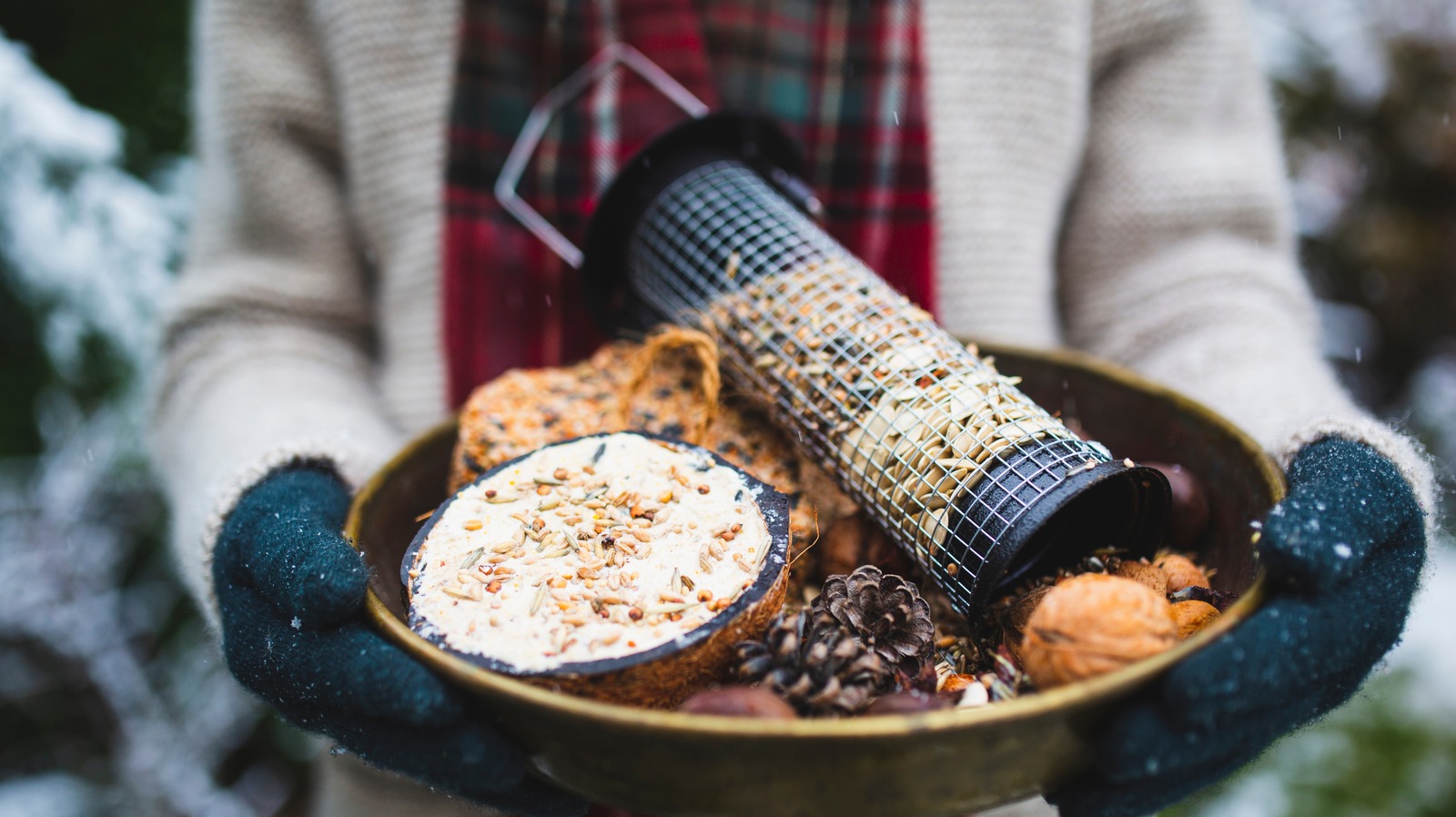 13 Leftover Kitchen Scraps That Safely Attract Birds To Your Yard