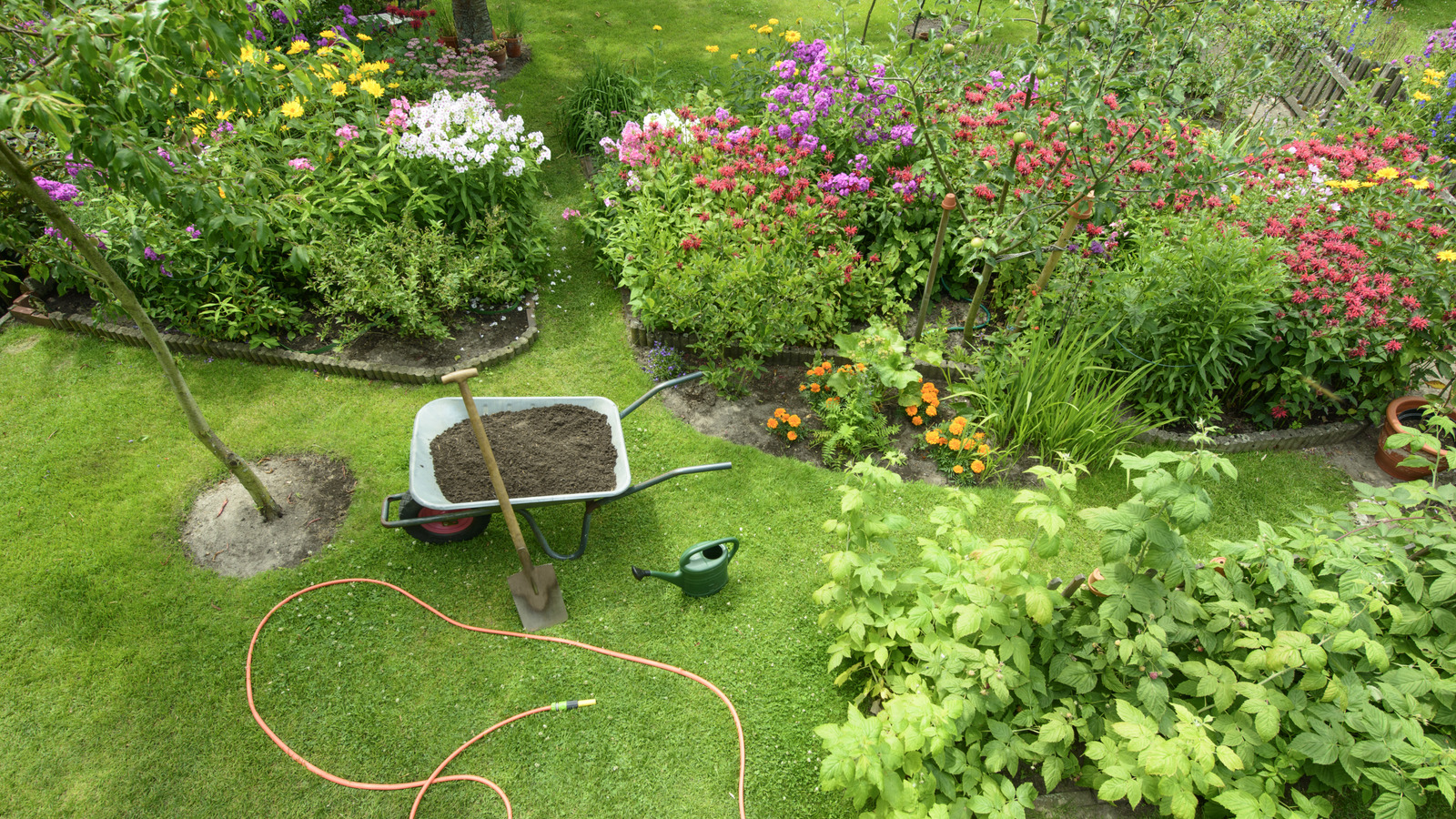 Warning Signs That Your Plants Aren't Getting Enough Calcium