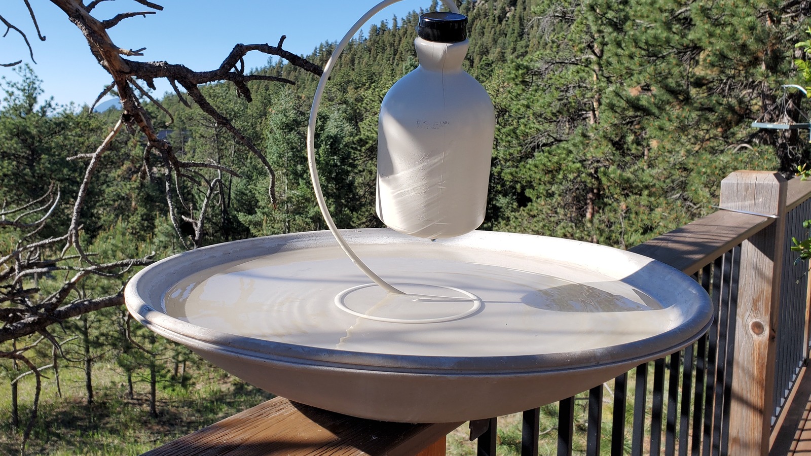We DIYed A Birdbath Dripper With A Syrup Bottle. Sweet Hack, Or Was It ...