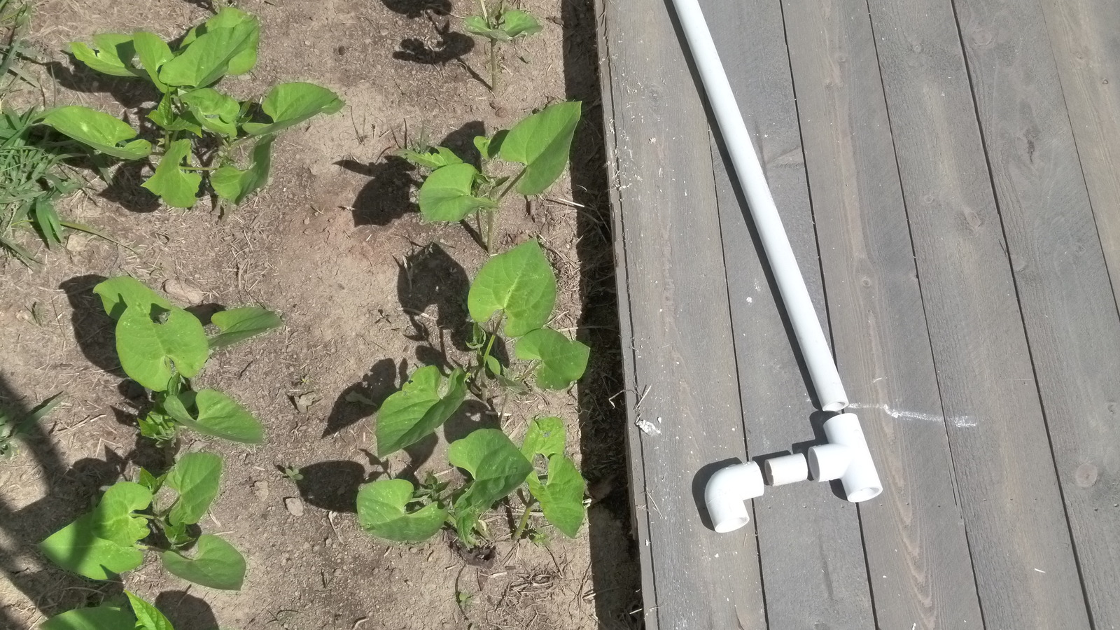 We Tried This Viral PVC Pipe Hack To Make Planting Seeds Easier And It ...