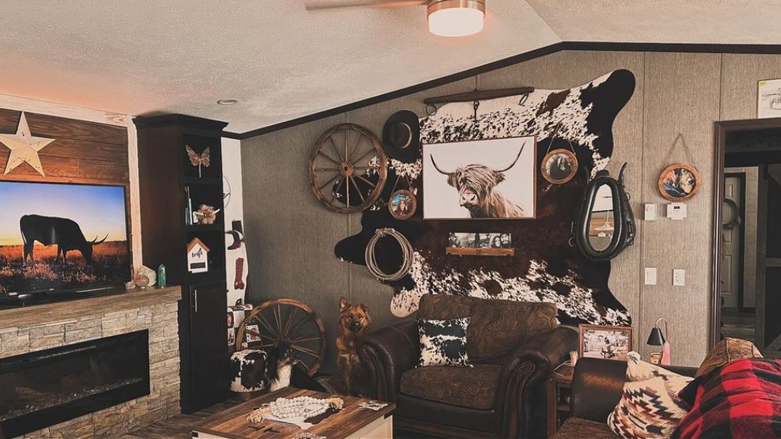 Western Decor Trends You May Live To Regret Using In Your Home