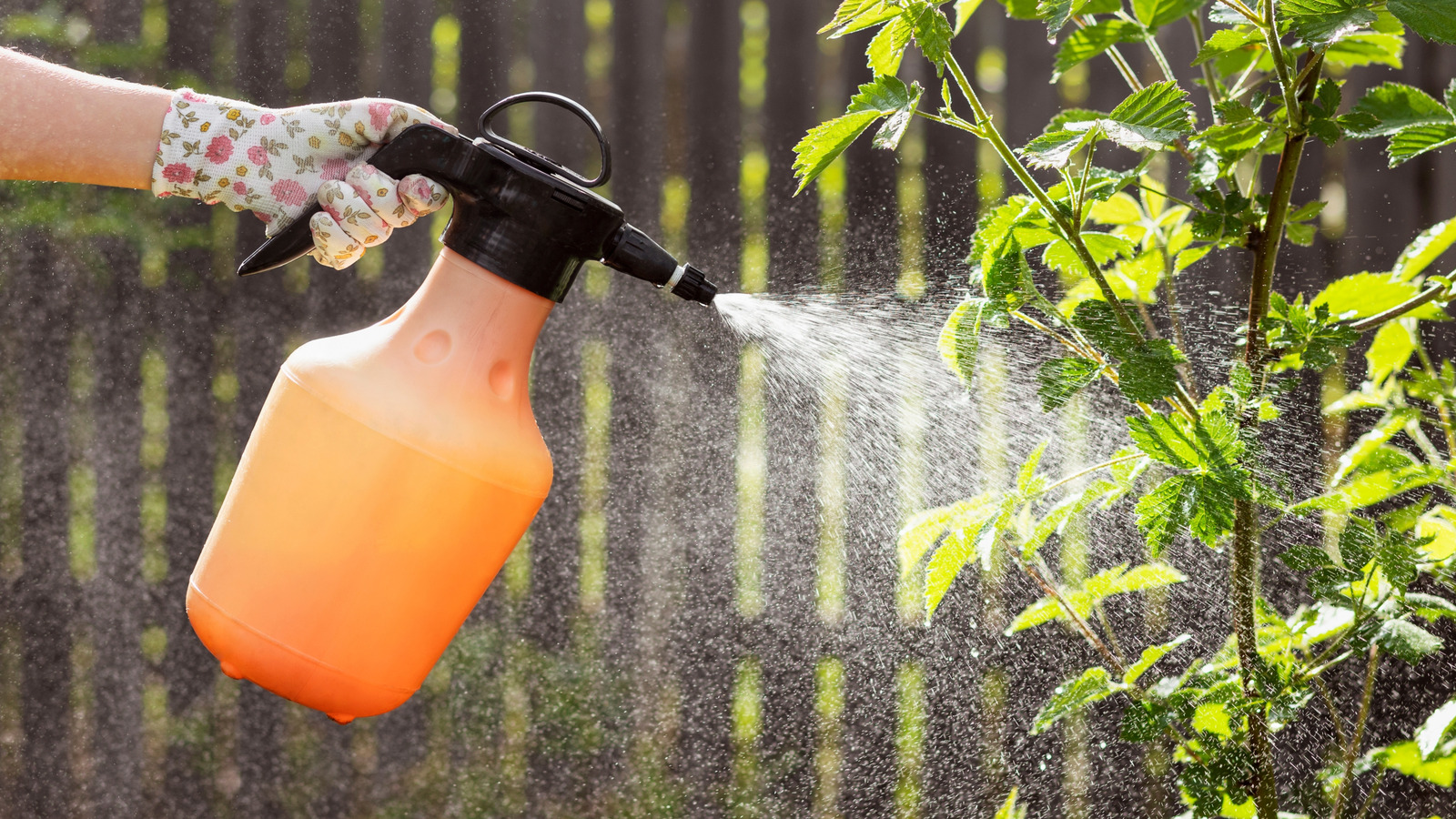 What Can You Do If Your Neighbor's Pesticide Drifts Over To Your Garden?