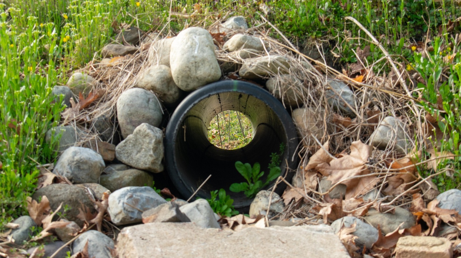 What Is A French Drain And Do You Need One?