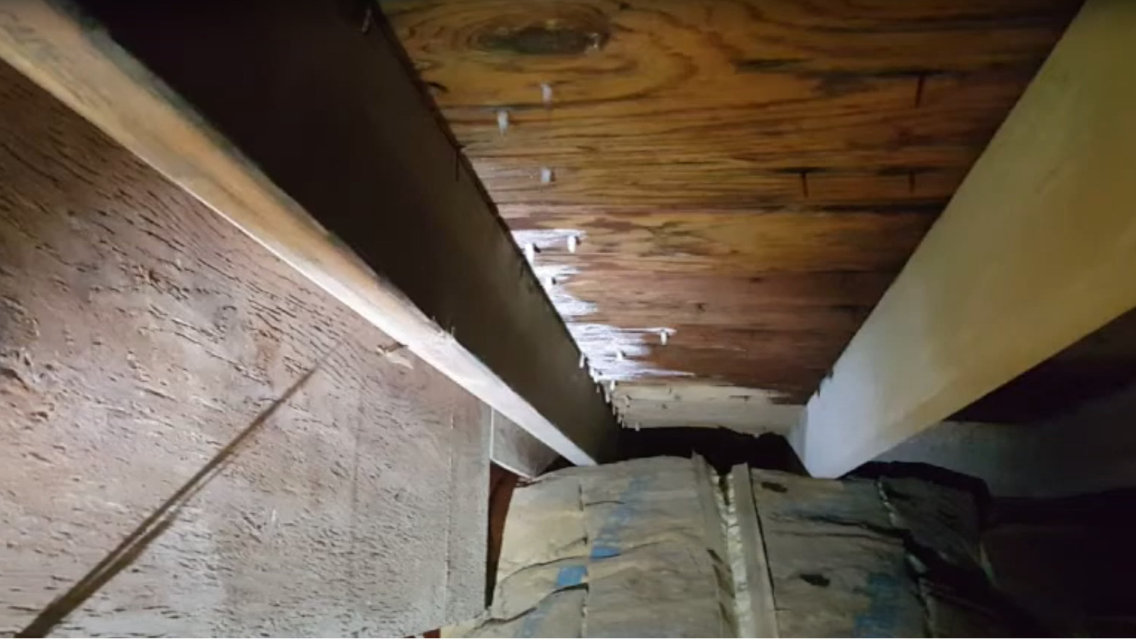 What It Means If You See Frosted Nails In Your Attic During Winter