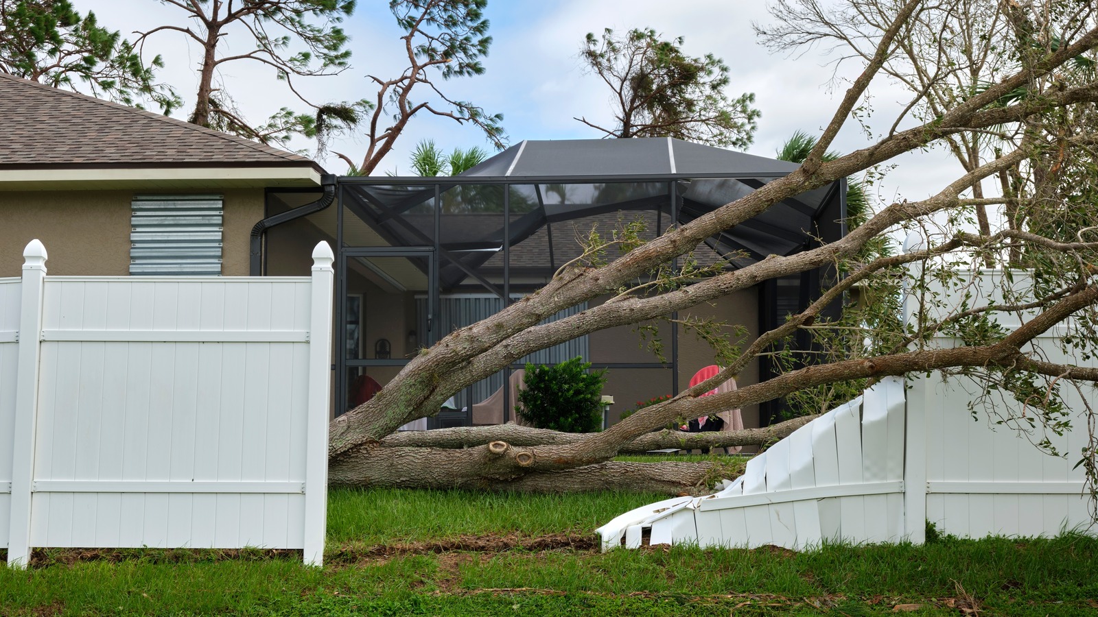 What To Do If A City-Owned Tree Falls On Your House Or Property