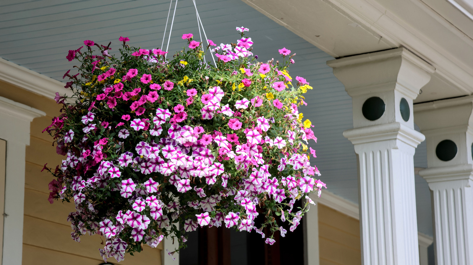 What To Do With Hanging Flower Baskets To Create A Lush Look All Summer ...