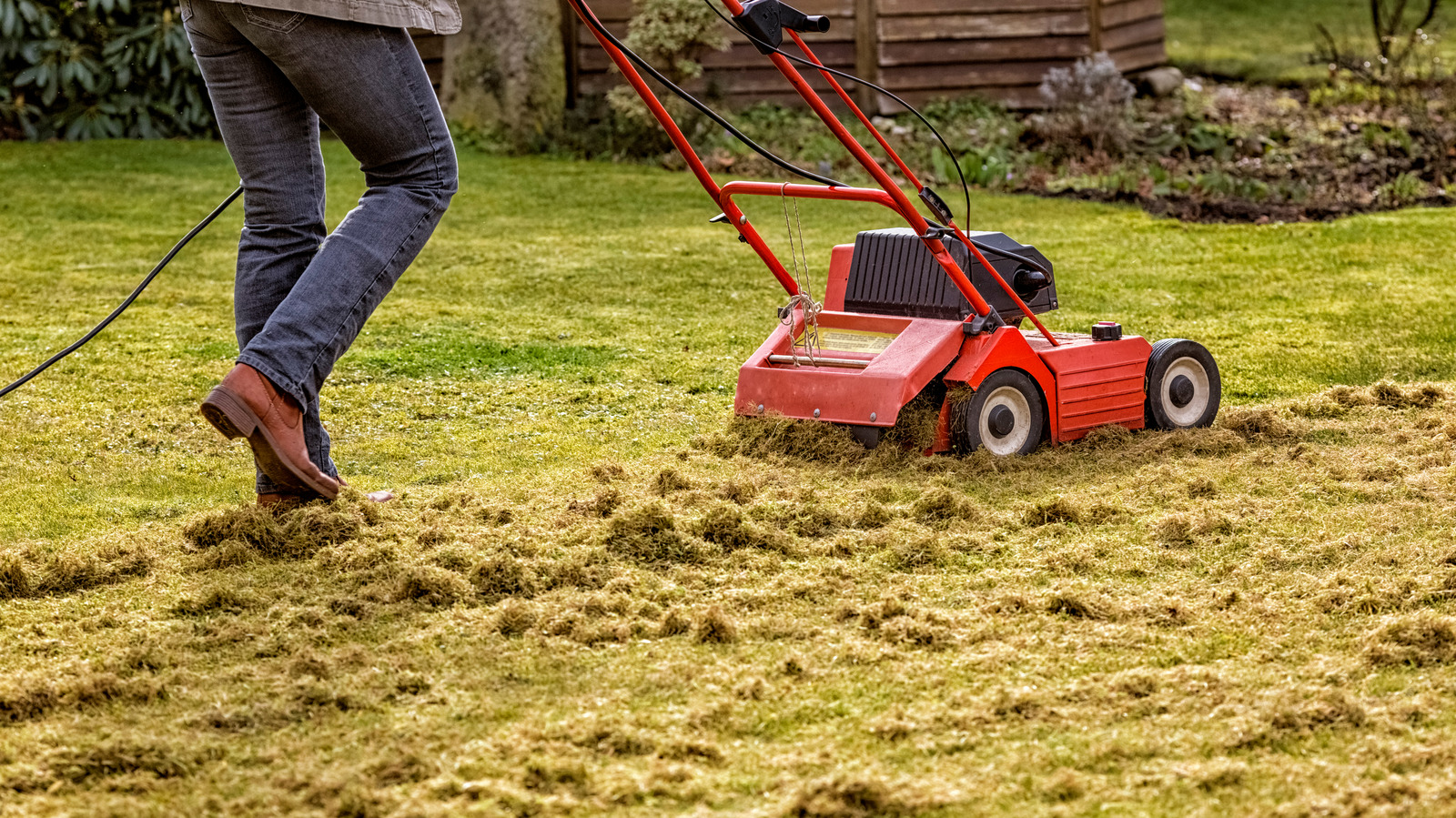 What To Know About Scarification For Your Lawn