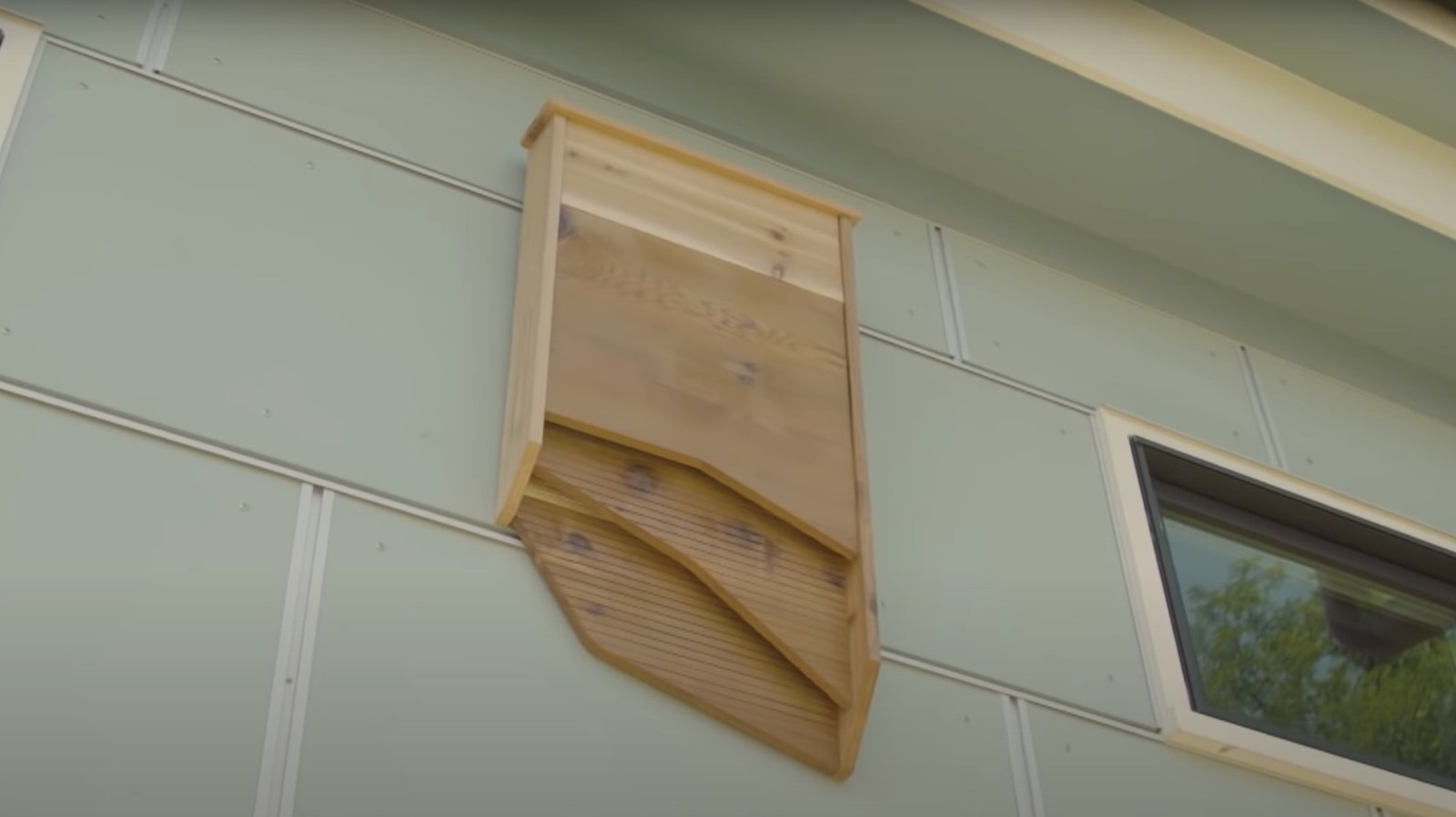 Whatever Happened To BatBnB After Shark Tank Season 10?