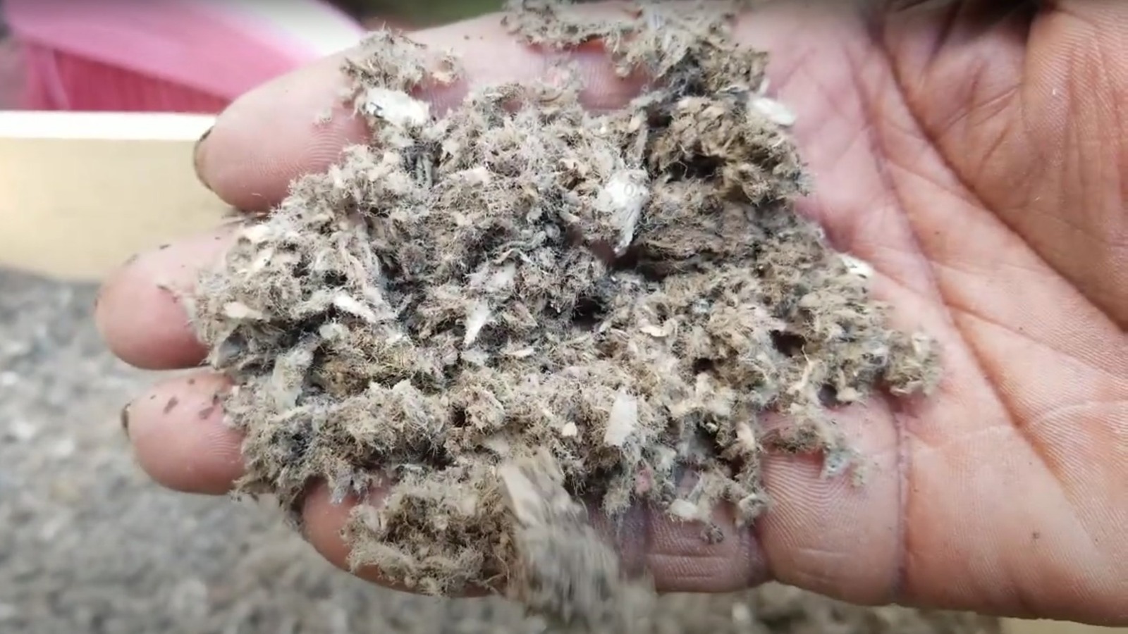 Whatever Happened To PittMoss Peat Moss Alternative After Shark Tank Season 6?