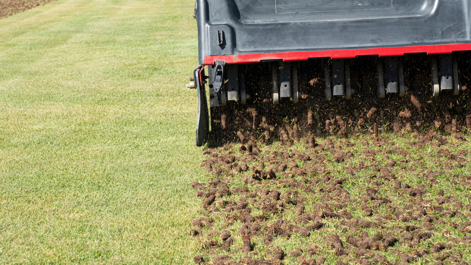 Where To Rent An Aerator For Your Yard This Fall