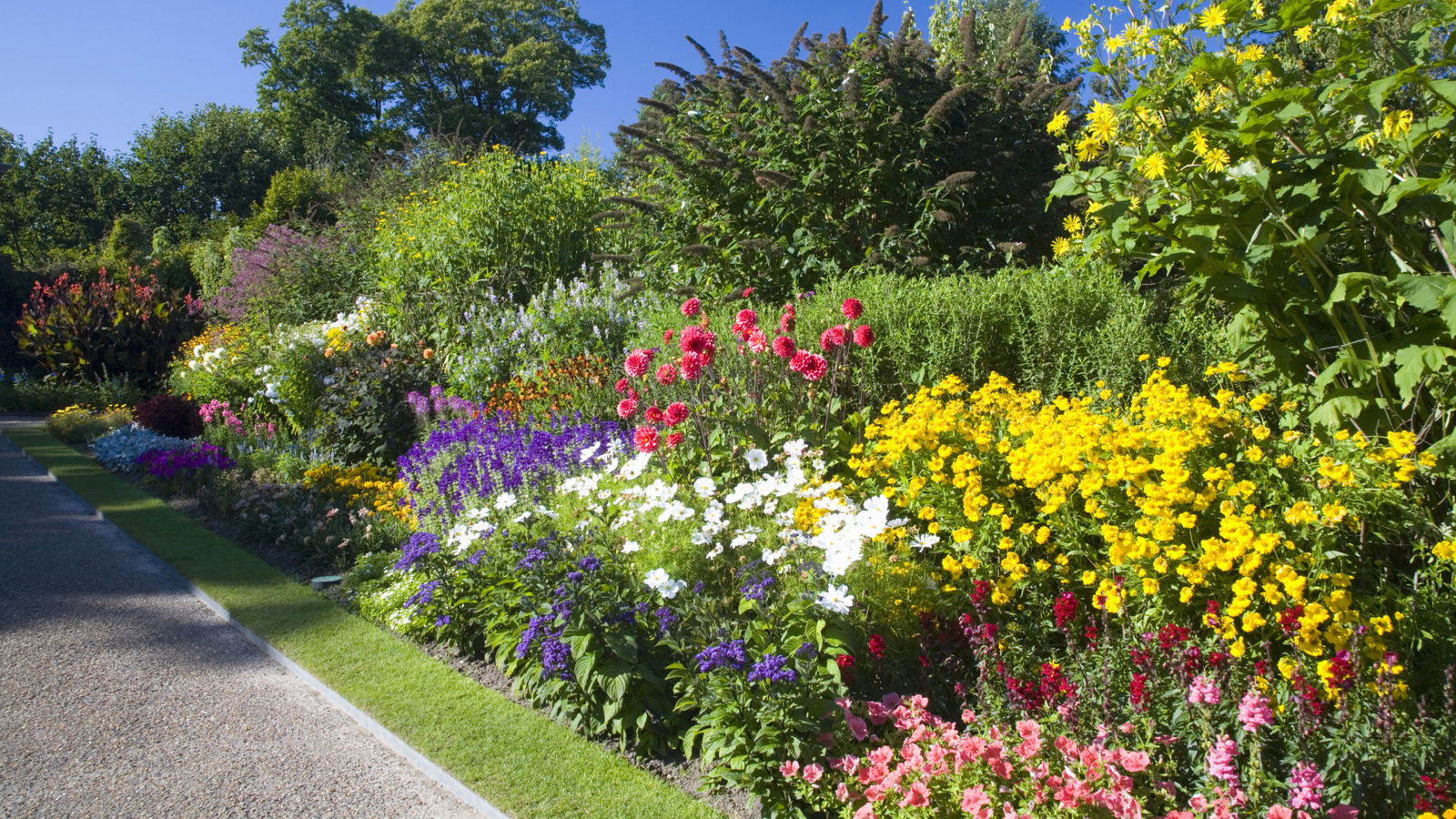 The Importance of Color in Garden Planting (Plus 2 Colors to Steer ...
