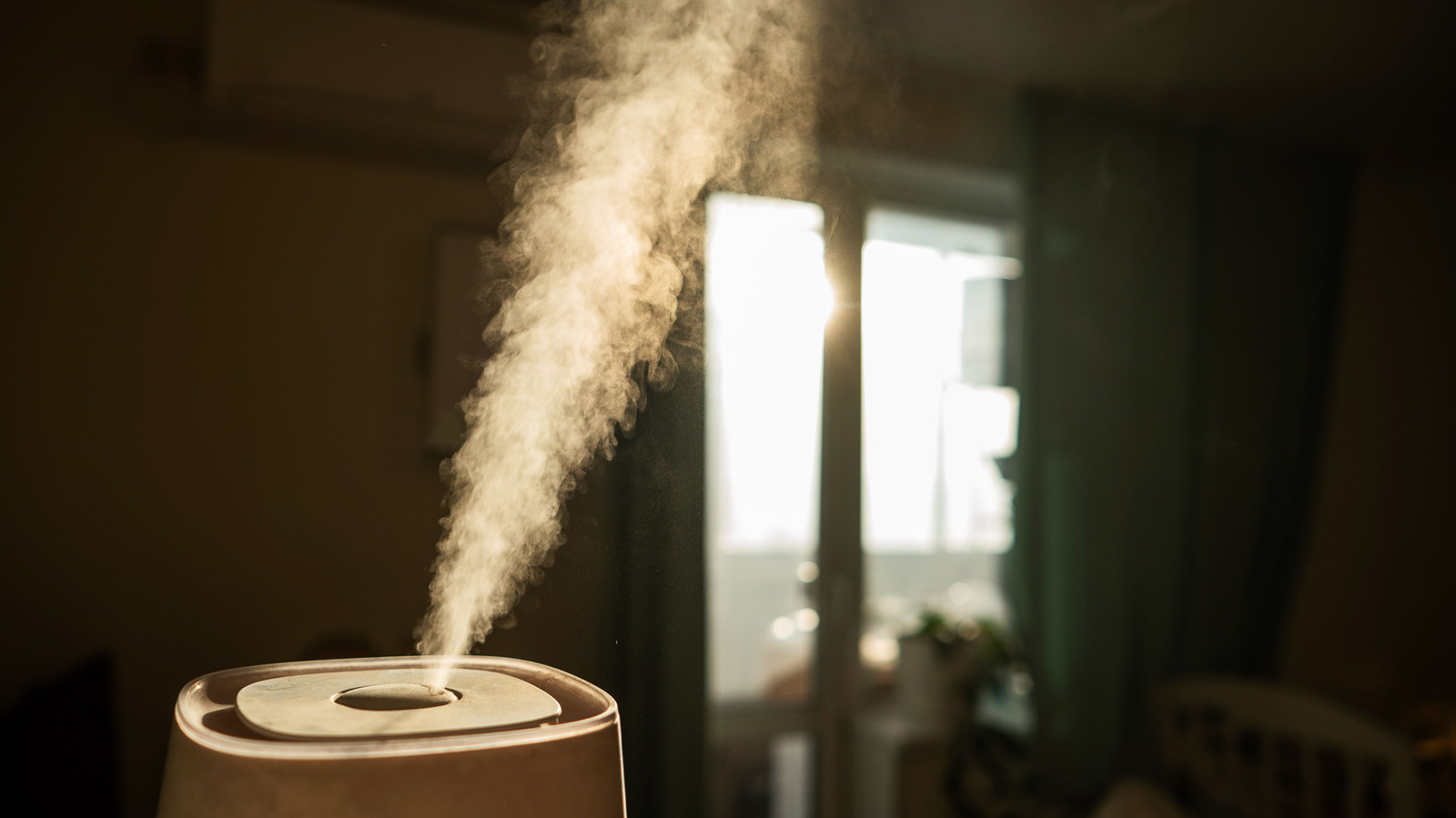 Why Consumer Reports Called This Humidifier One Of The Worst Products ...