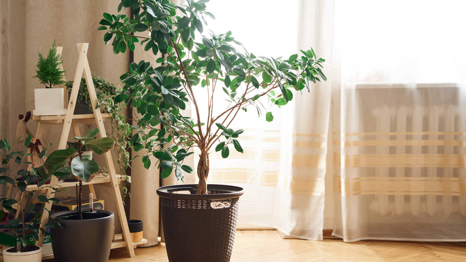 Why Costco's Faux Plants Are Getting Mixed Reviews