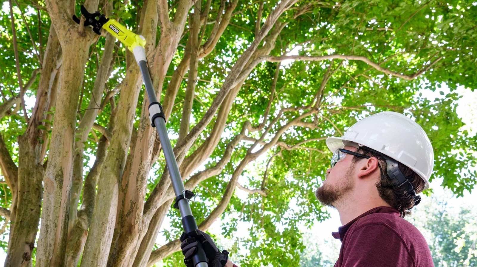 Why Ryobi's Pole Lopper Is A Game-Changer For Effortless Pruning