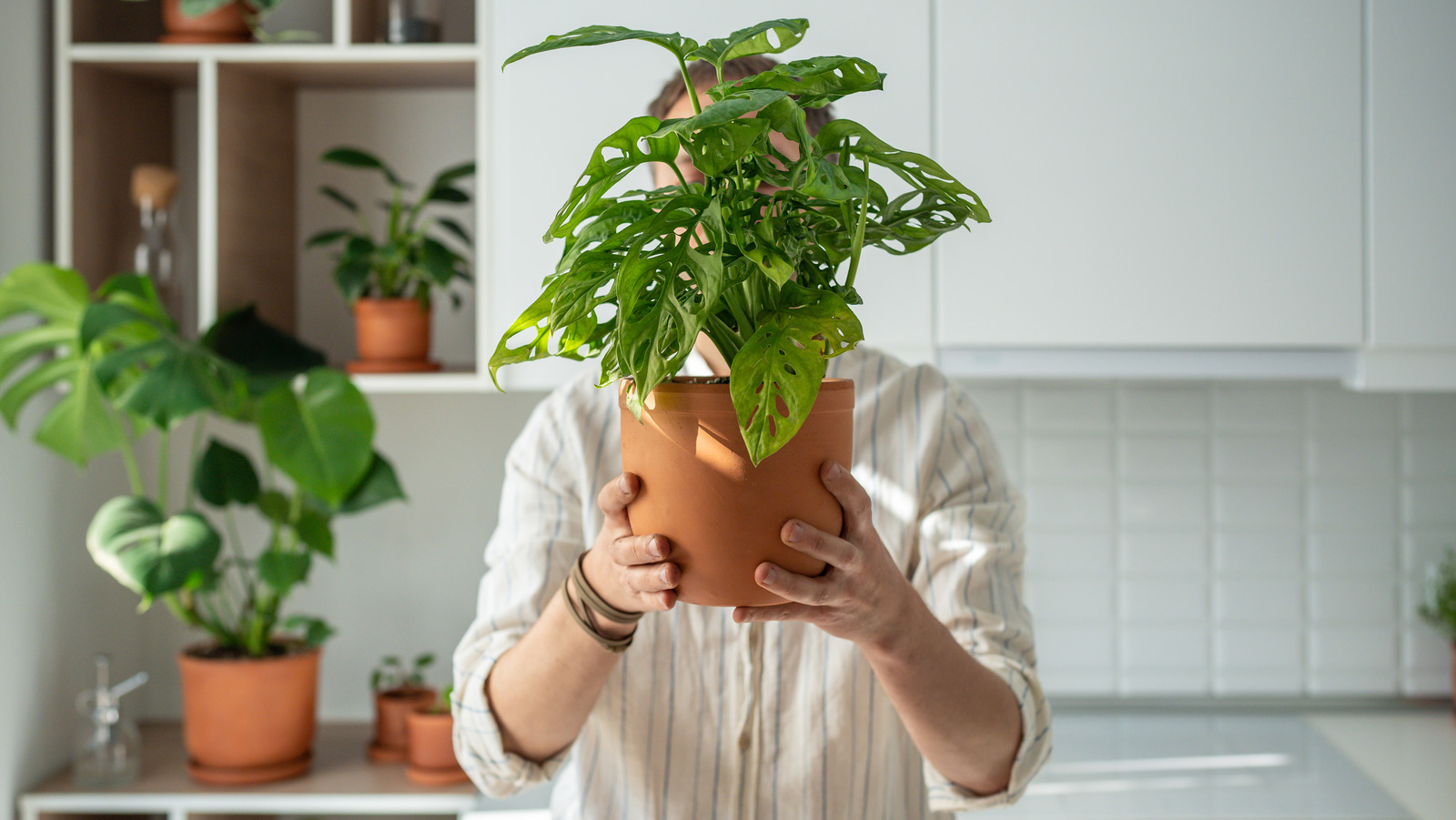 Why Some Gardeners Swear By Sniffing Their Houseplant Soil (& Should ...
