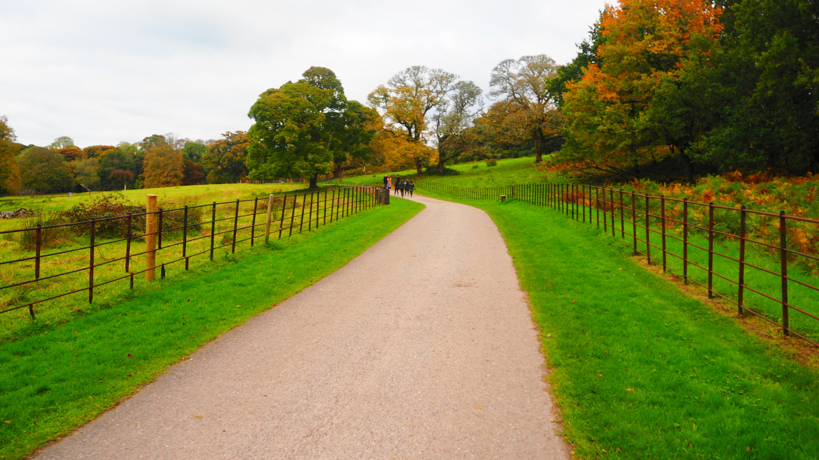 Why The Grass Along Your Driveway Edging Is Turning Brown (& How To ...