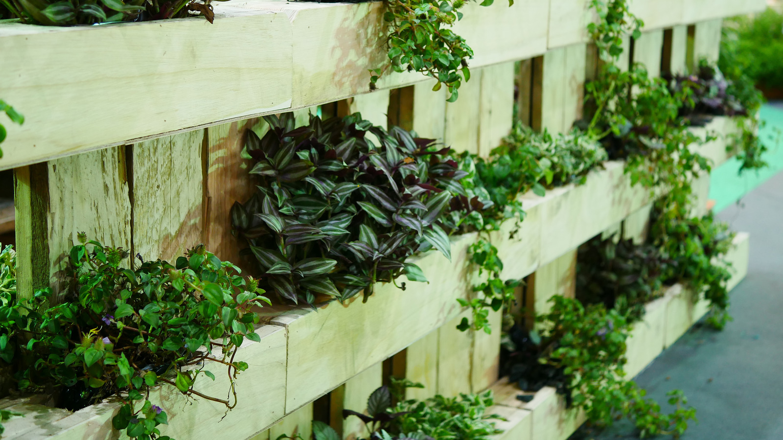 Why Vertical Allotments Are The Perfect Gardening Solution For Those ...
