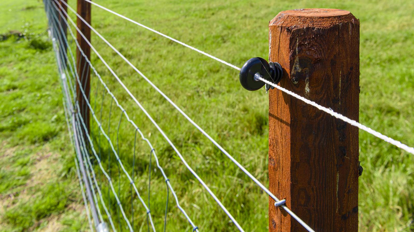 Why You Might Consider Adding An Electric Fence To Your Garden