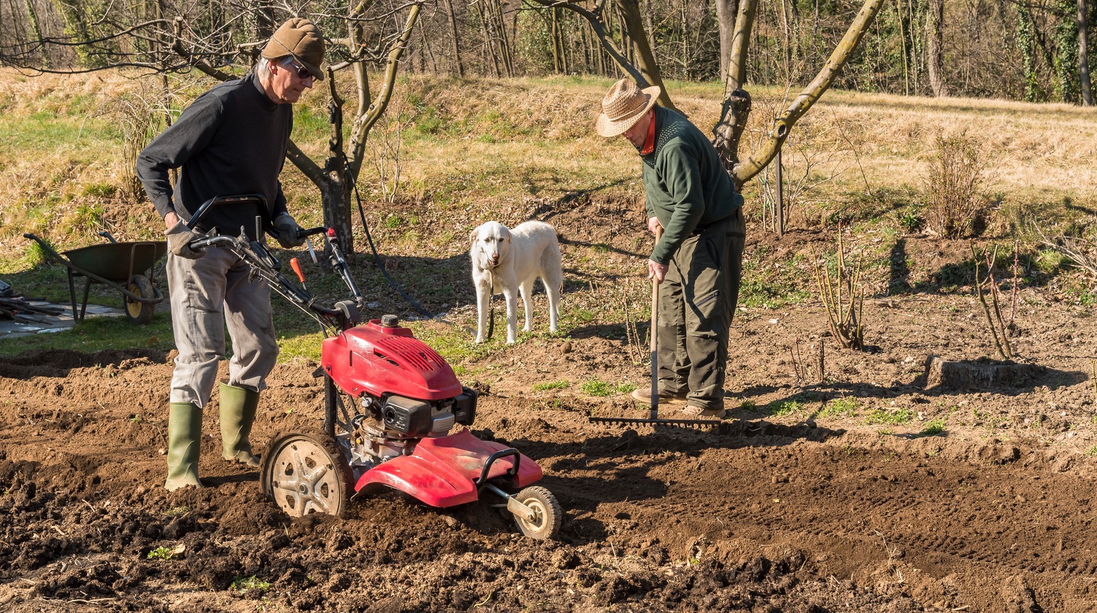 Why You Might Want To Think Twice Before Tilling Your Garden