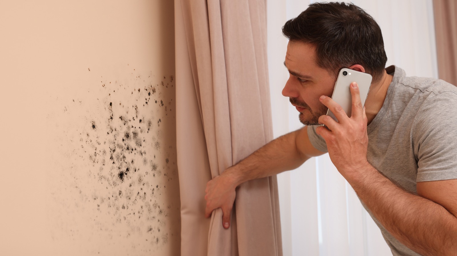 How Helpful Are Mold Test Kits (& What A Professional Service Will Provide)