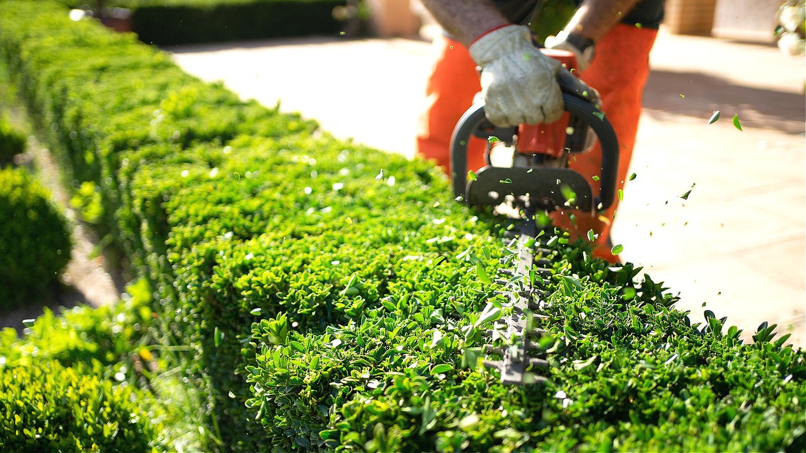 Why You Should Use WD-40 Before Giving Your Yard's Bushes A Trim