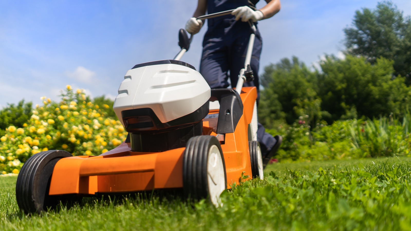 Why You Should Walk Your Mowing Path Before You Ever Start The Mower