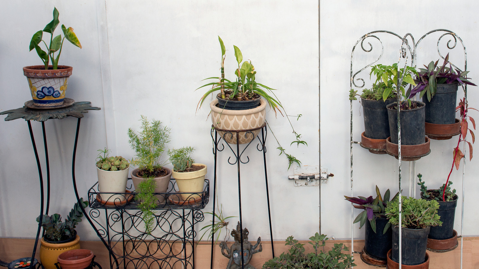 Wrought Iron Plant Stands Are Gorgeous But Here's How To Prep Them For ...
