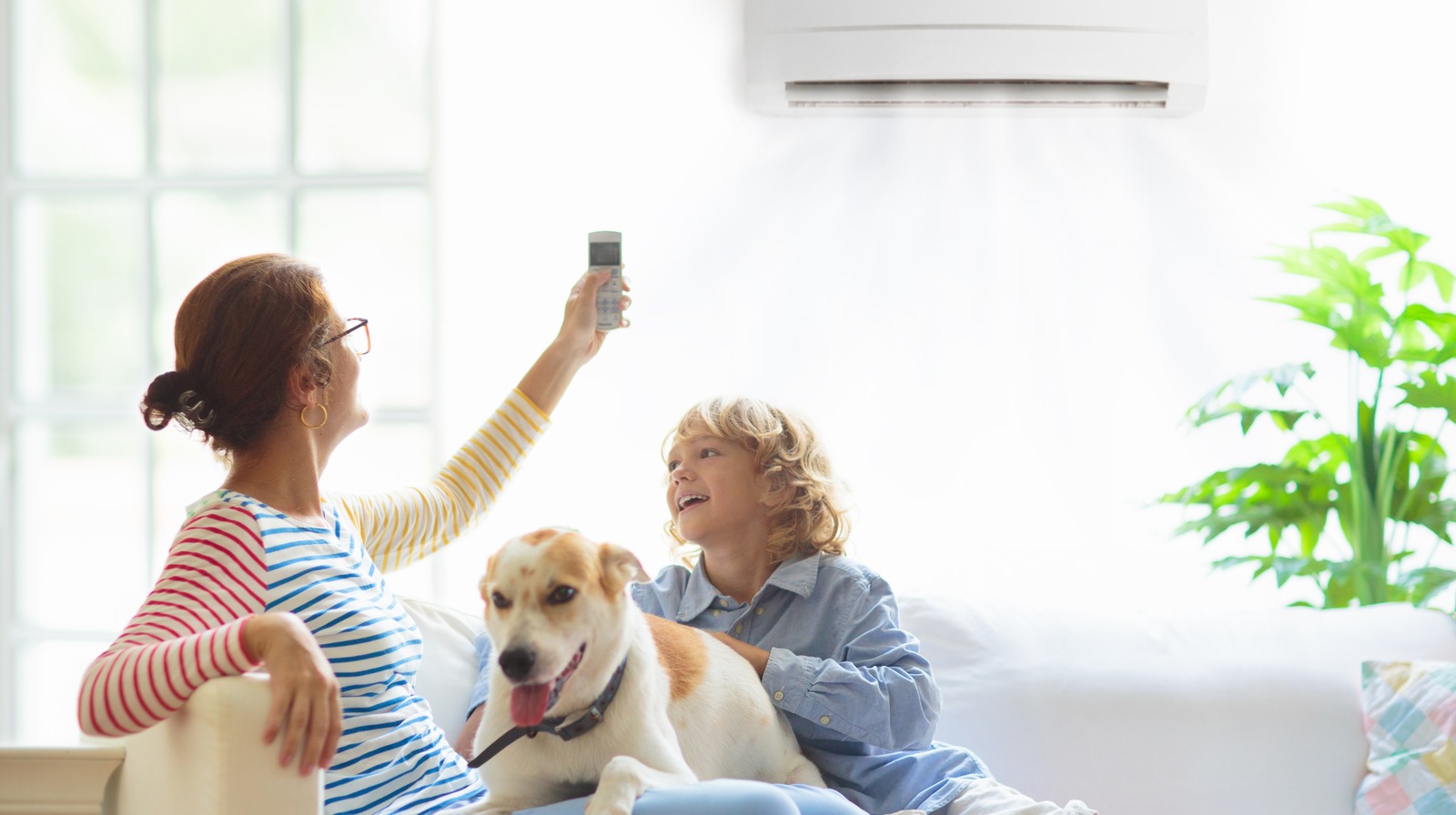 Helpful Tips For Protecting Your Home During A Heat Wave