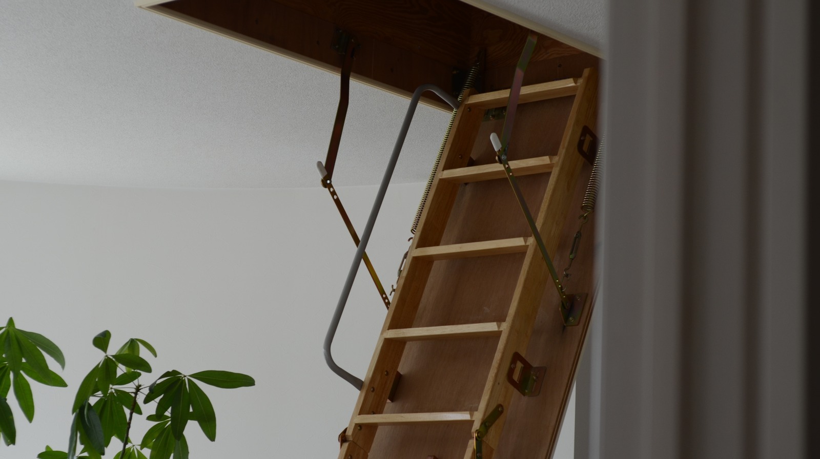 How To Install An Attic Ladder On Your Own (& Mistakes To Avoid At All ...